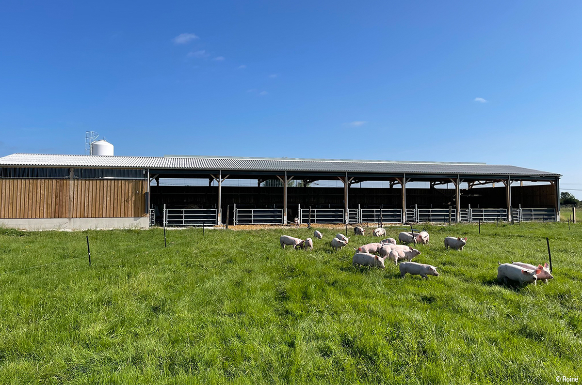 DANS L'EURE, UN BÂTIMENT HYBRIDE POUR L'ÉLEVAGE PORCIN - Bâtiments ...